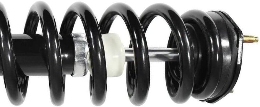 Front Struts w/Coil Spring (Pair)