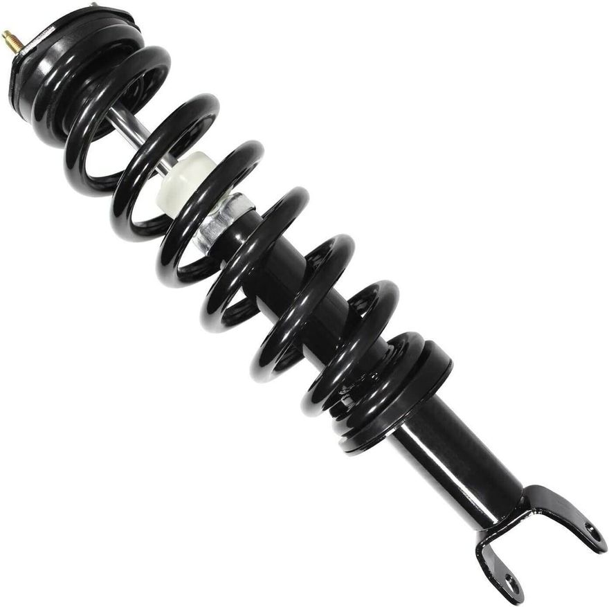 Front Struts w/Coil Spring (Pair)