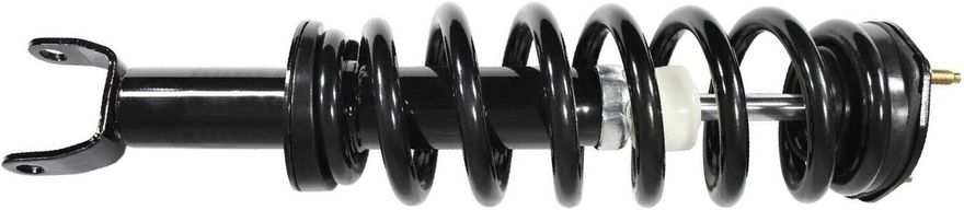 Front Struts w/Coil Spring (Pair)